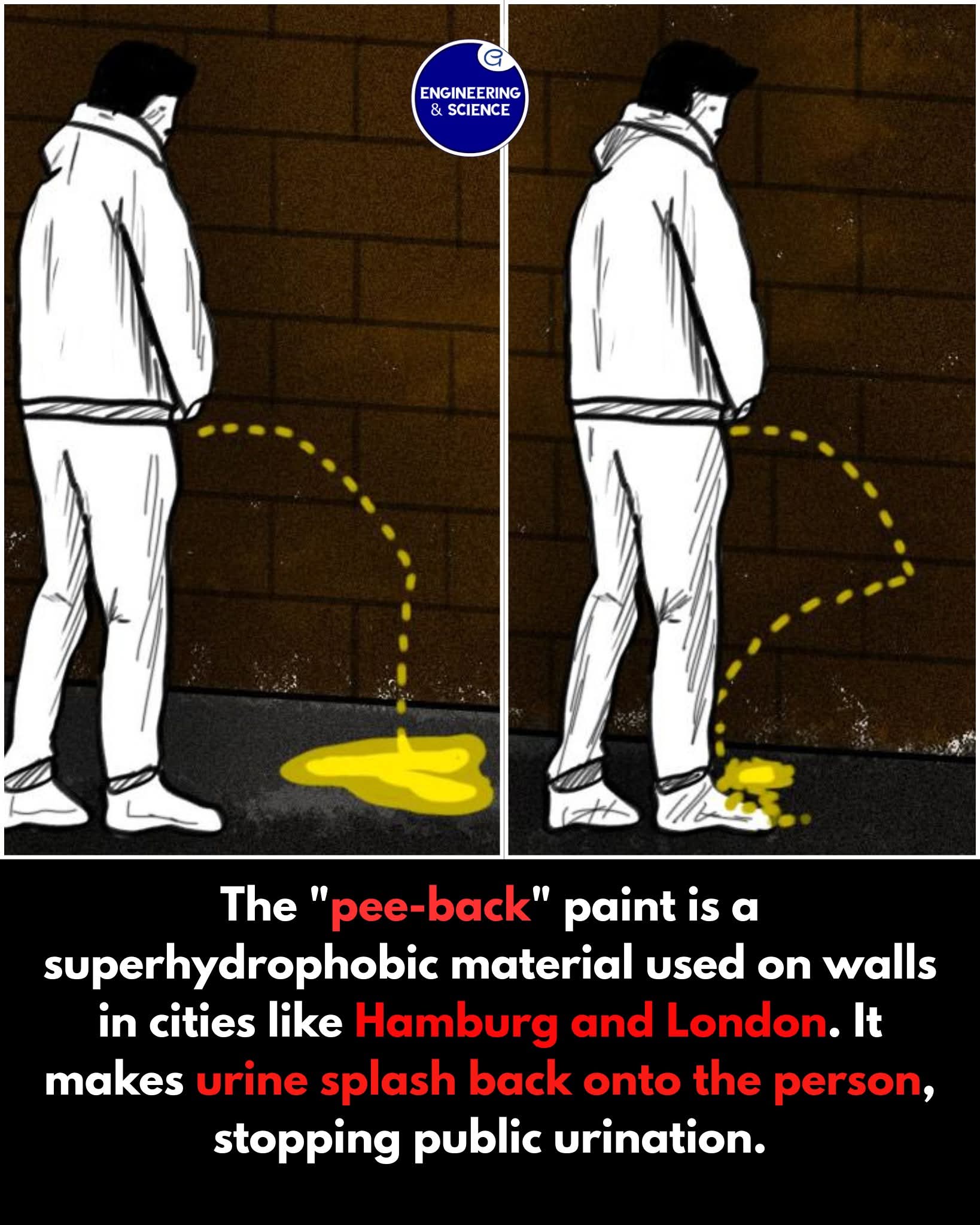 The Pee Back Paint – A-one Channel